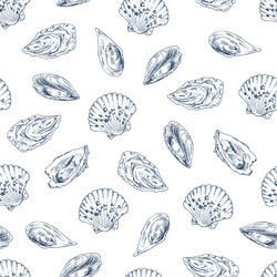 Pattern wallpaper seashell mollusk ocean wild life