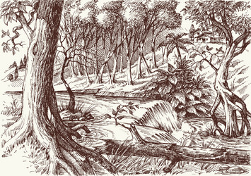 Waterfall on a river hand drawing design element Vector Image