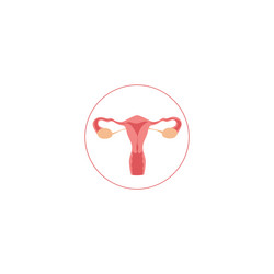 Reproductive Organs Vector Images (over 7,000)