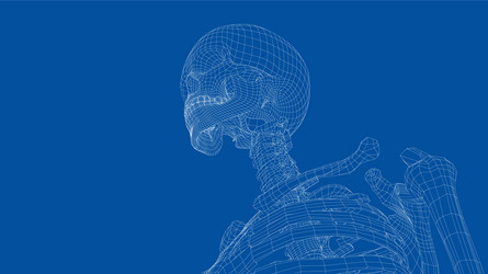 Anatomy Blueprint Vector Images (over 260)