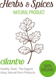 Hand drawn border with herbs and spices Royalty Free Vector