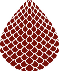 Salak fruit Royalty Free Vector Image - VectorStock