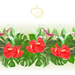 Anthurium Border Vector Images (61)