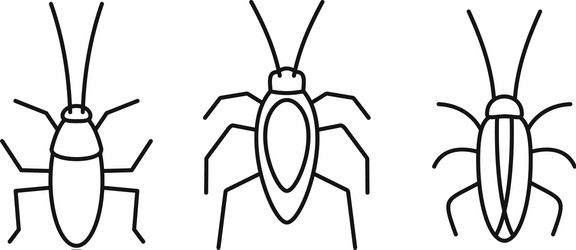 Cockroach Outline Vector Images (over 1,900)