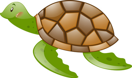 Turtle cartoon hiding in his shell Royalty Free Vector Image