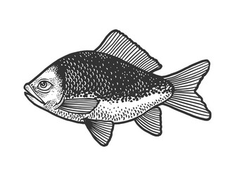 Fish Eye Vector Images (over 9,600)