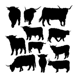 Bull design on white background wild animals Vector Image
