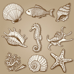 Sea hand drawn Royalty Free Vector Image - VectorStock