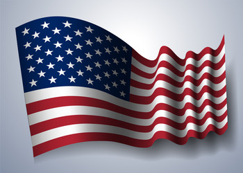 American flag isolated Royalty Free Vector Image