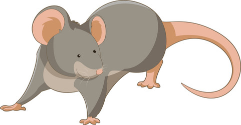 Cute mouse head cartoon smiling Royalty Free Vector Image