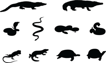 Reptile Cartoon Vector Images (over 42,000)