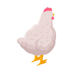 Hen Vector Images (over 35,000)