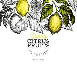 Lemon border drawing citrus fruit frame Royalty Free Vector