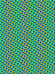 Synthetic Fiber Vector Images (over 640)