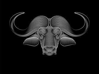Engraving stylized buffalo on black background Vector Image
