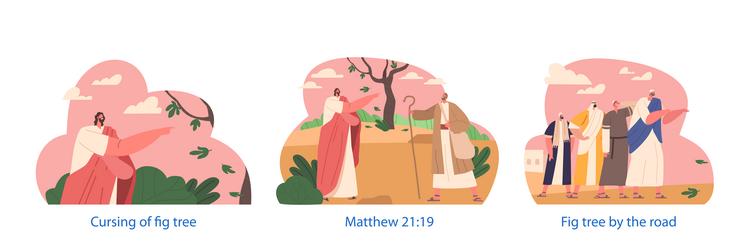 Jesus christ character curses fig tree disciples Vector Image