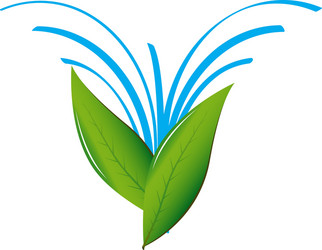 Water drop and leaf Royalty Free Vector Image - VectorStock