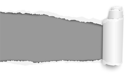 White Paper Oblong Vector Images (over 320)