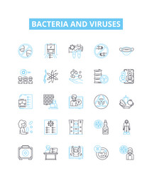 Quorum Vector Images (41)