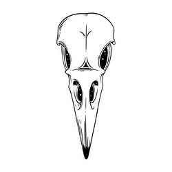 Crow skull sketch fornt and side view halloween Vector Image