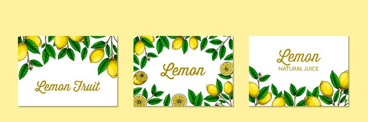Horizontal lemon background hand drawn colorful Vector Image