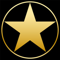 Golden star simple form black background Vector Image
