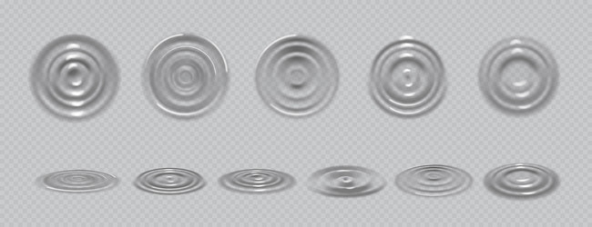 Drops and ripples circular wave on water surface Vector Image