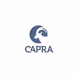 Capra Ibex Vector Images (over 130)