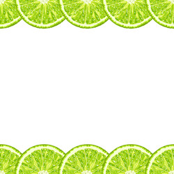 Lime slice seamless border citrus juice drops Vector Image