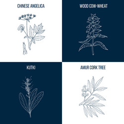 Kutki Vector Images (12)