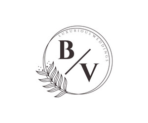 Bv initials letter wedding monogram logos Vector Image