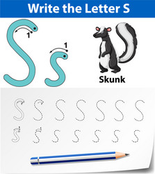 Letter s tracing alphabet worksheets Royalty Free Vector
