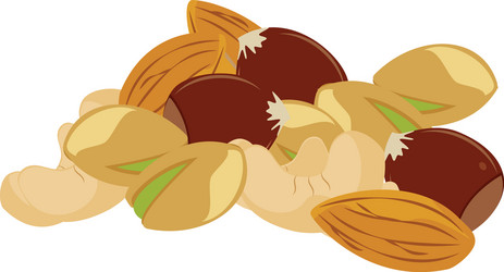 Nuts collection Royalty Free Vector Image - VectorStock