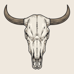 Vintage powerful bull head concept Royalty Free Vector Image