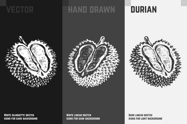 Durian Vector Images (over 2,700)