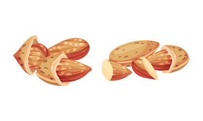 Nutshell Vector Images (over 8,400)