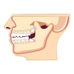 Tmj Vector Images (72)