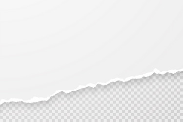 Paper Torn in Half Vector Images (over 270)