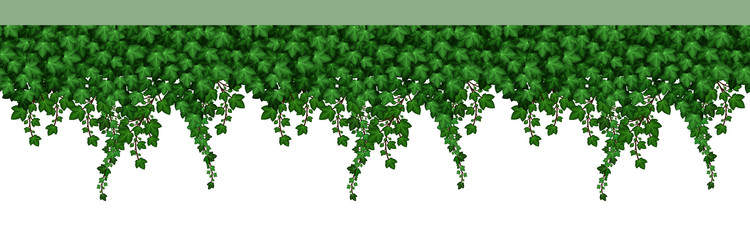 Ivy Pattern Vector Images (over 940)