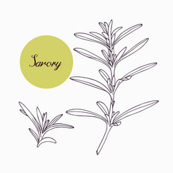 Leve Vector Images (over 170)