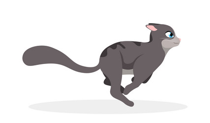 Cat run cycle animation frames Royalty Free Vector Image
