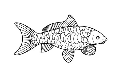 Chinese fish Royalty Free Vector Image - VectorStock