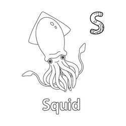 Squid animal tracing letter abc coloring page s Vector Image