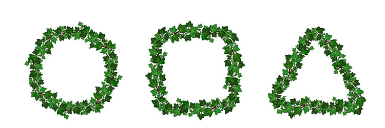 Ivy Circle Vector Images (over 310)