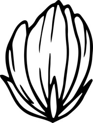 Poppy Outline Vector Images (over 2,500)