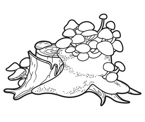 Stump Grinding Vector Images (8)