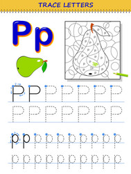 Tracing alphabet letter p lowercase prewriting Vector Image