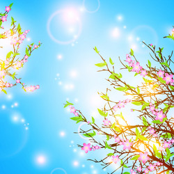 Spring background Royalty Free Vector Image - VectorStock