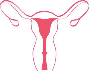 Female Reproductive System Vector Images (over 4,400)