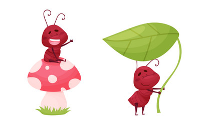 Cute little ant baby doing various activity big Vector Image
